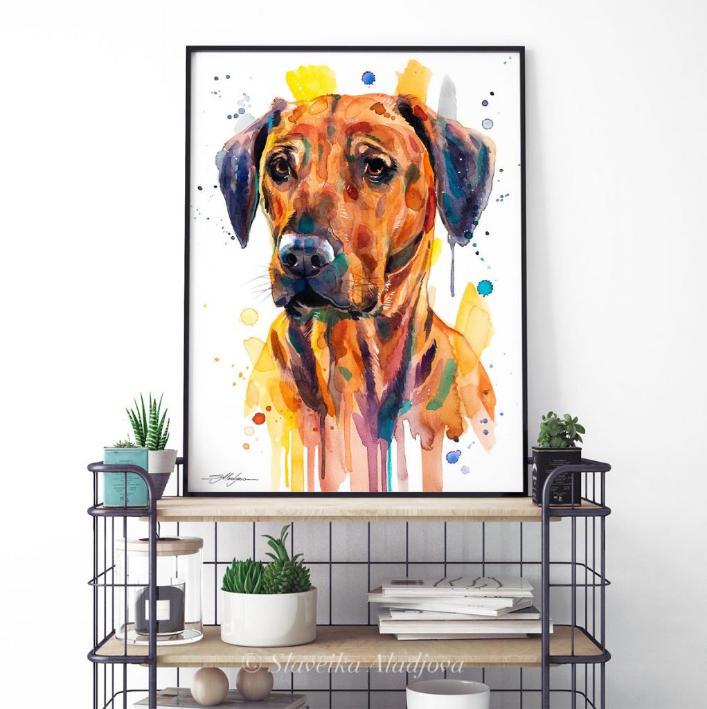 Rhodesian Ridgeback watercolor painting print by Slaveika Aladjova